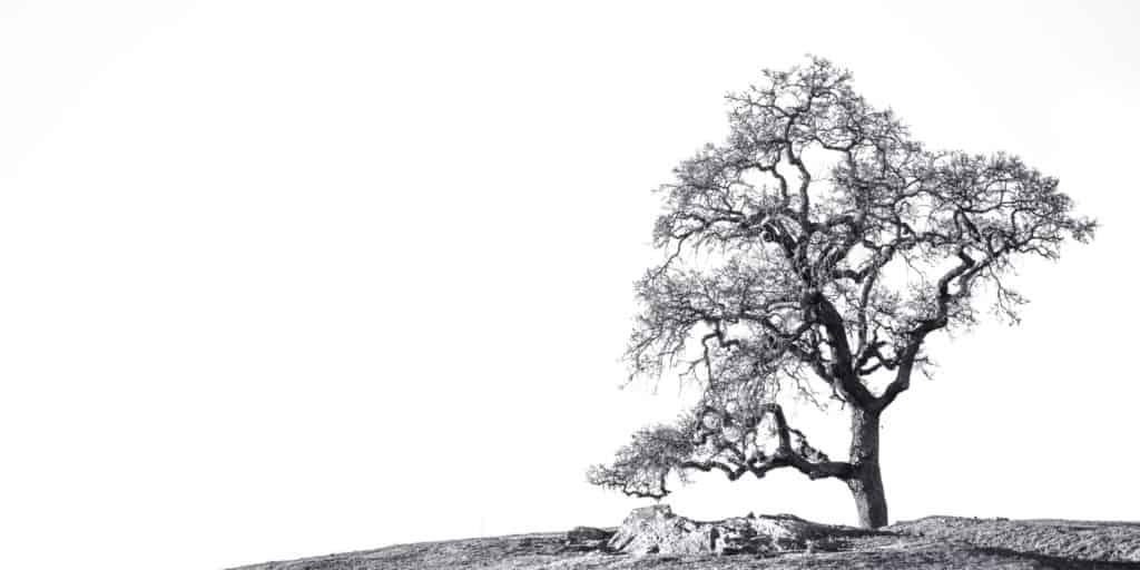Becoming Rock Solid: A Guide to Emotional Stability and Reserve - Aaron ...
